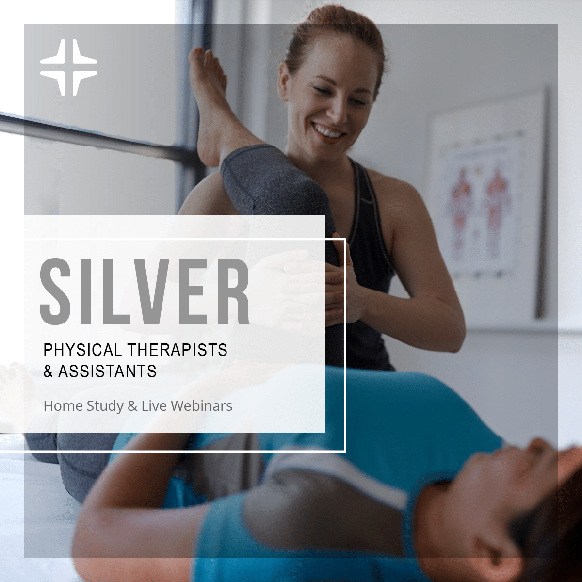 Physical Therapists and Assistants Silver - OnlineCE